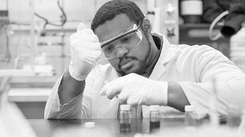 Meinig School of Biomedical Engineering - Cornell Engineering Strategic ...